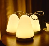 China Kingda 0.8W LED Night Light Seven Colors Adjustable Eye Protection USB Bedroom Lamp for sale