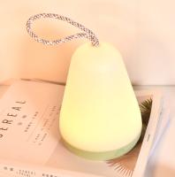 China Kingda 0.8W LED Night Light Seven Colors Adjustable Eye Protection USB Bedroom Lamp for sale