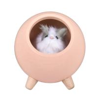 China ROHS 1.2W Hamster LED Night Light 3 Hours Charging for Kids Bedroom for sale