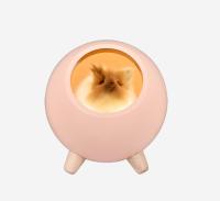 China ROHS 1.2W Hamster LED Night Light 3 Hours Charging for Kids Bedroom for sale