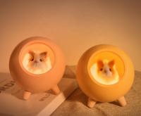 China ROHS 1.2W Hamster LED Night Light 3 Hours Charging for Kids Bedroom for sale