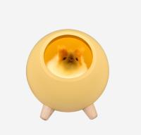 China Kingda 1200mAh Rechargeable Plush Kitten Moon Night Light Stepless Dimming USB Charging for sale