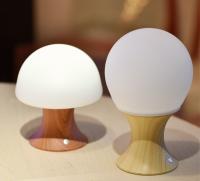 China Home Decor Room Decoration Night Light Smart Silicona LED Table Lamp for sale