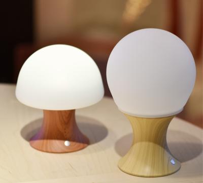 China Home Decor Room Decoration Night Light Smart Silicona LED Table Lamp for sale
