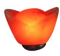 China OEM Carved Himalayan Salt Lamp With Solid Wooden Base for sale