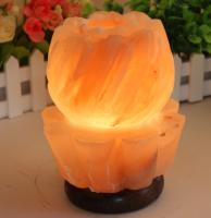 China OEM Carved Himalayan Salt Lamp With Solid Wooden Base for sale