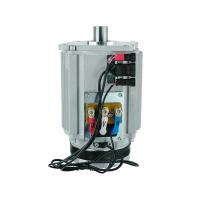 China Versatile Application 4kW AC motor for Electric Golf Cart for sale