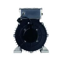 China Advanced 15kW AC Motor For Electric Loader Oil Pump Motor for sale