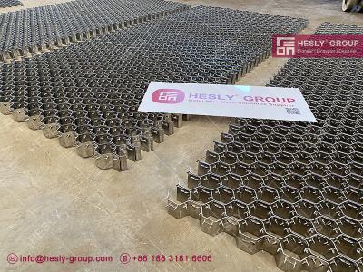 China 06Cr17Ni12Mo2 Hex Metal Mesh 2.0x50mm 48mm Hexagonal Refractory Armoring for Furnace Linings 1000x1000mm for sale
