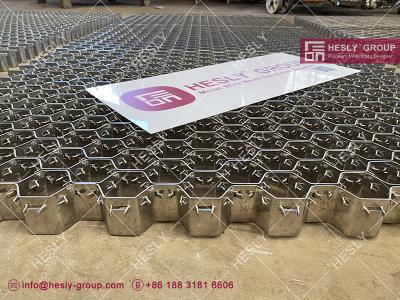 China Hexagonal Mesh for Refractory Lining | AISI410S | 2