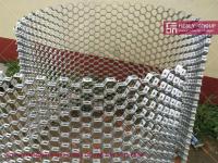 China Stainless Steel 310S Refractory Hexsteel Mesh 10x1.5mm Strips 50mm Hex Hole for sale
