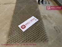 China 253MA Hex Metal Armouring Furnace Refractory Lining 16ga 60mm Hexagonal Mesh HESLY China Exporter for sale