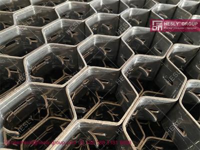 China 253MA Hex Metal Armouring Anti-corrosive Linings 25mm Strips 1.8mm Thick HESLY China Factory for sale