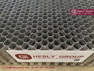China Stainless Steel 304 Hex Mesh 2.0mm Strips Offset Lances 3ft x 8ft for Refractory Lining for sale