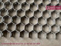 China SS310S Refractory Lining Hexsteel Mesh 1 Inch Deep 14 Gauge 2 Inch Hexagonal for sale