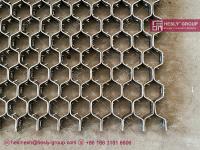 China SS316 Hex Steel Grid 50mm Height 40mm Hole Standard Size 965x1000mm Furnace Lining Hexmesh for sale