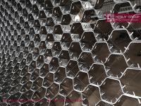 China Din1.4401 Hex Steel Grid 30mm Height 40mm Hole Refractory Hexmesh 965x1000mm for sale