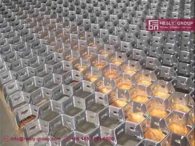 China 253MA Hex Mesh with Bonding Holes 2.75mm Thickness 20mm Height 50mm Opening for Blast Furnace Refractory for sale