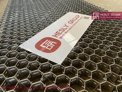 China ASTM 310S Hexmetal Mesh 2.0mm Strip Thickness 25mm Height for Metallurgical Industry for sale