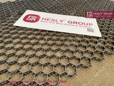 China AISI304 Stainless Steel Hexmesh 1 inch Depth 16 Gauge with Lance Tabs Refractory Anchoring for sale