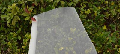 China PVC Coated Fiberglass Insect Screen Roll 0.5-3m Width 16x16 Mesh for Window Protection for sale