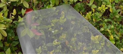 China PVC Coated 18x16 Fiberglass Window Screen Mesh - 90g/m² Density, 0.011