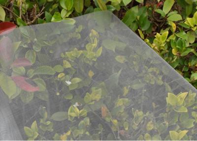China 18x14 PVC Coated Fiberglass Window Screen Rolls - 0.13