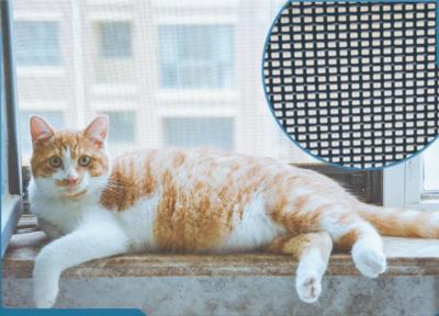 China 18-420 Mesh Pet Resistant Screen Door Roll - Polyester Anti-Clawing Mesh 0.8-1.6m Width for sale