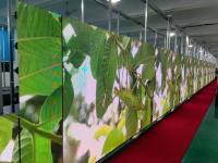 China COB P0.9 Indoor Thin LED Video Wall Display , Indoor LED Screens 3 Years 320 X 160 MM,320 X 160 MM for sale