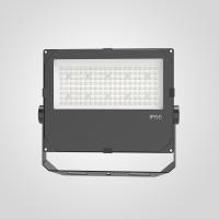 China 100W LED Flood Light Silver Black PMMA Lens Durable Outdoor Lighting Solution for Industrial Commercial Applications for sale