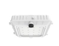 China LED Gas Station Canopy Light with -30°C To 45°C Operation Temperature and RAL 1127 White Color for sale