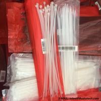 China Huawei Self Locking Nylon Cable Tie Cable Fastening Huawei Base Station for sale