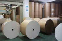 China 150GSM-350GSM Die Cut PLA Coated Paper Roll Water Resistant for sale