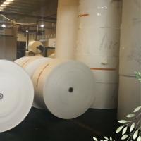 China 170gsm To 280gsm PE Coating Paper Cup Raw Material Customized for sale