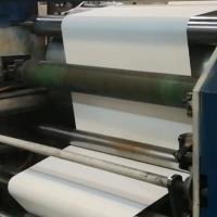 China 170gsm To 280gsm PE Coating Paper Cup Raw Material Customized for sale