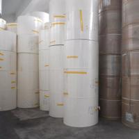 China Food Grade Paper Cup Raw Material PE Coated Paper Cup Roll for sale