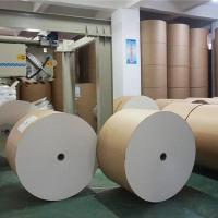 China 170g 190g Paper Cup Making Raw Material Pe Coated Paper Cup Roll for sale