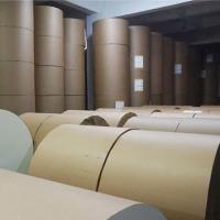 China 170g 190g Paper Cup Making Raw Material Pe Coated Paper Cup Roll for sale