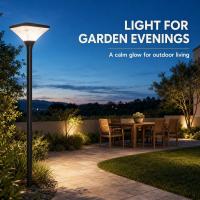 China Modern Square Solar Garden Lights Warm White 30W 50W Pole Mount Weather Resistant for sale