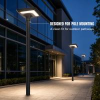 China 30W 50W Outdoor Solar Garden Lights Energy Saving For Driveways Courtyards And Parks for sale