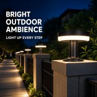 China Low Glare Moon Shadow Solar Powered Post Top Lights 5W 8AH Battery Decorative Lighting for sale