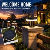 China Low Glare Moon Shadow Solar Powered Post Top Lights 5W 8AH Battery Decorative Lighting for sale