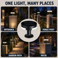 China Low Glare Moon Shadow Solar Powered Post Top Lights 5W 8AH Battery Decorative Lighting for sale