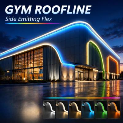 China Multi Color Silicone Led Tape Light 6x13mm Arc Side Emitting For Signage Letter Landscape Decor for sale