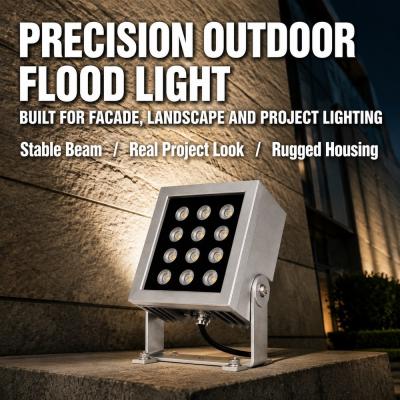 China 12-LED Architectural Flood Light IP66 Waterproof Outdoor Spotlight With Adjustable Bracket for sale