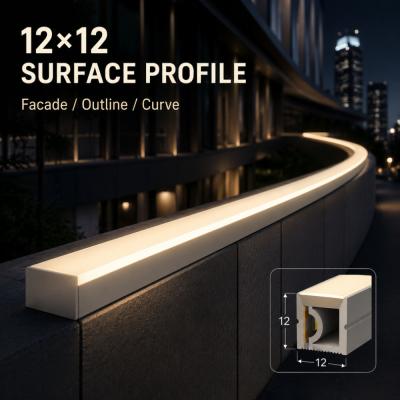 China 12x12mm Side Emitting Flexible Silicone LED Strip 120LED/M 9.5W For Facade Lighting for sale