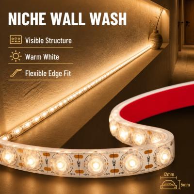 China Flexible LED Wall Washer 42LED/M 16W DC24V Ra80 DMX512 For Outdoor Linear Lighting for sale