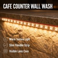 China 1410 Glue Filled Flexible LED Wall Washer 42LEDs/M 16W DC24V Multi Beam Angle For Grazing Lighting for sale