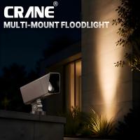 China Adjustable Landscape Architectural Outdoor LED Spotlight Anti Glare 30W For Facade Garden for sale