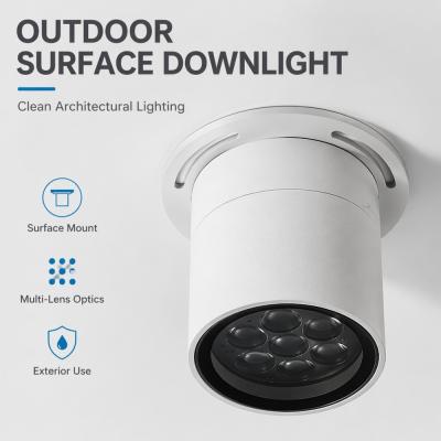 China Weather Resistant Led Outdoor Wall Lights Aluminum Body Modern Design For Hotels Gardens for sale